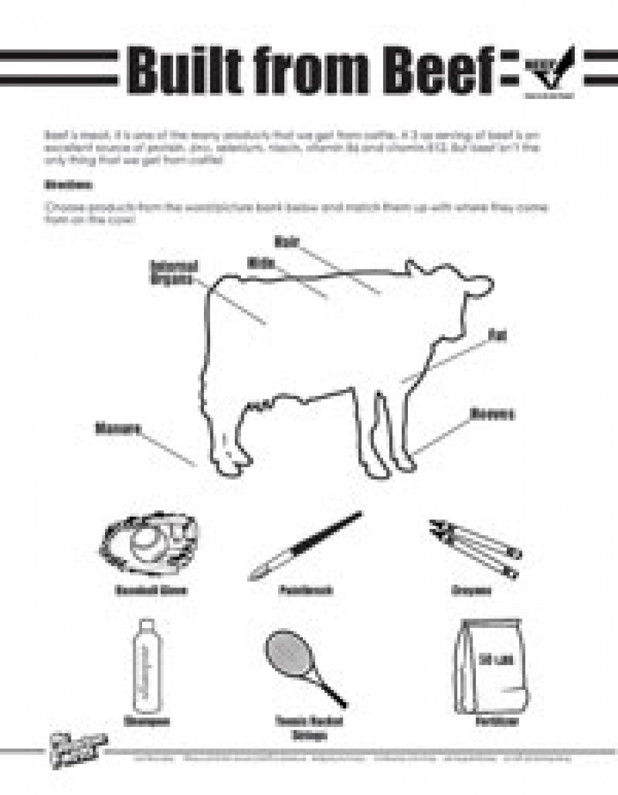 More Classroom Resources